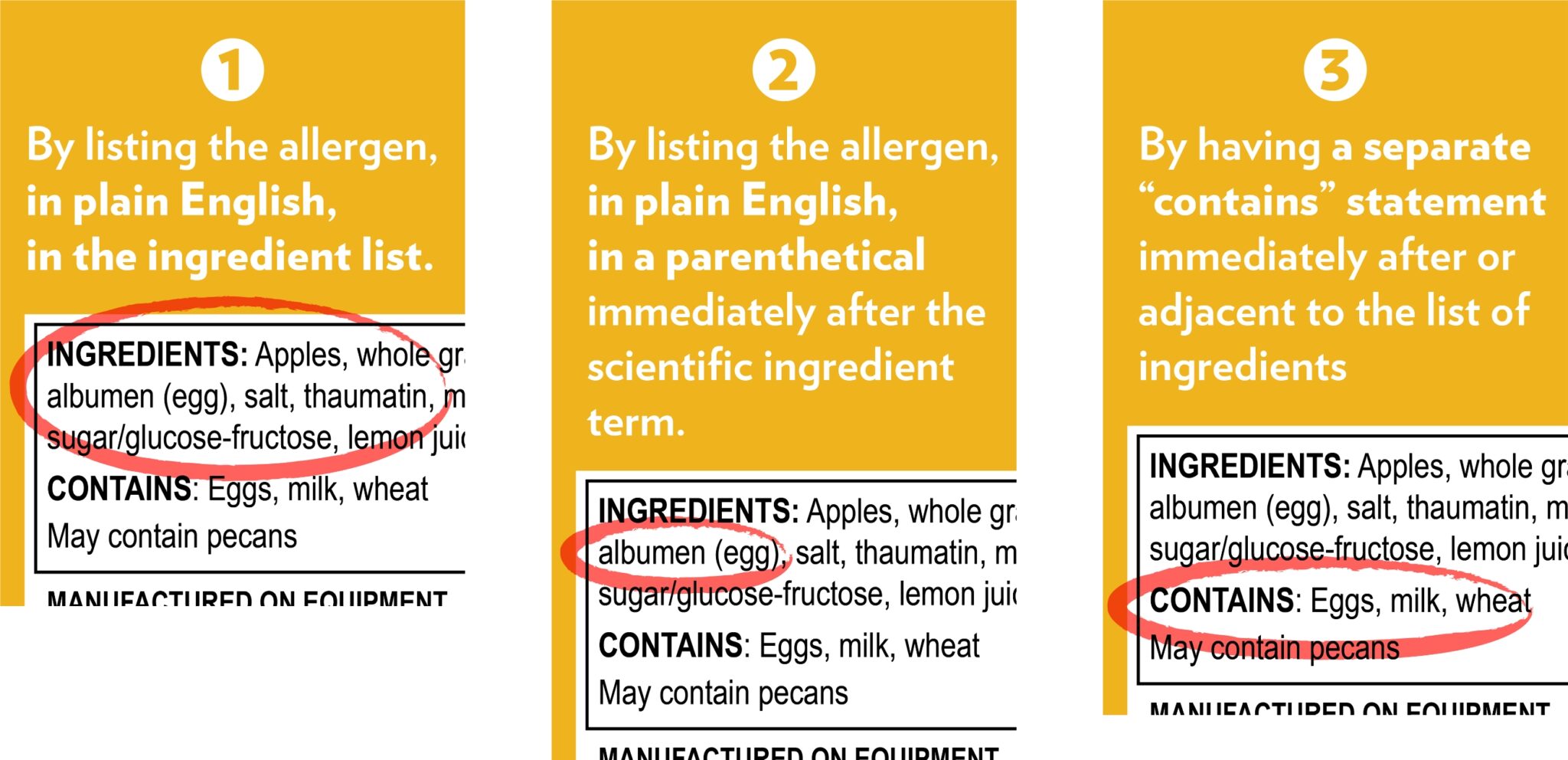 Food Allergy 101: Essential Basics to Know